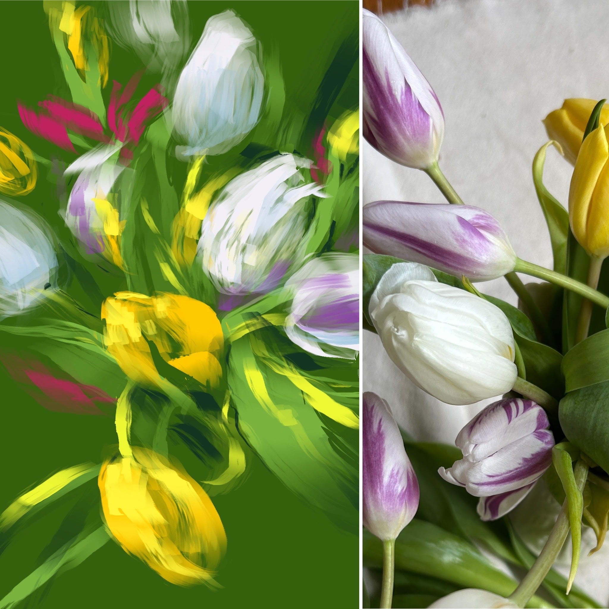 Digital Drawing: Overhead View of Tulips | Anne Kullaf